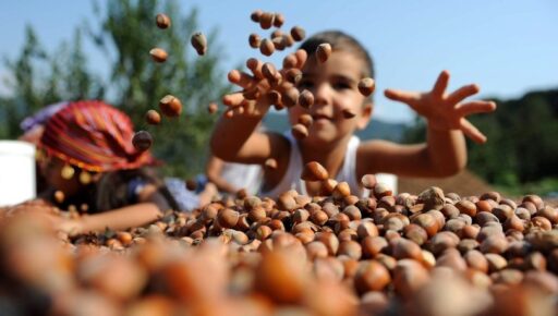 Hunger and Child Labor - Ahmed Keçeci